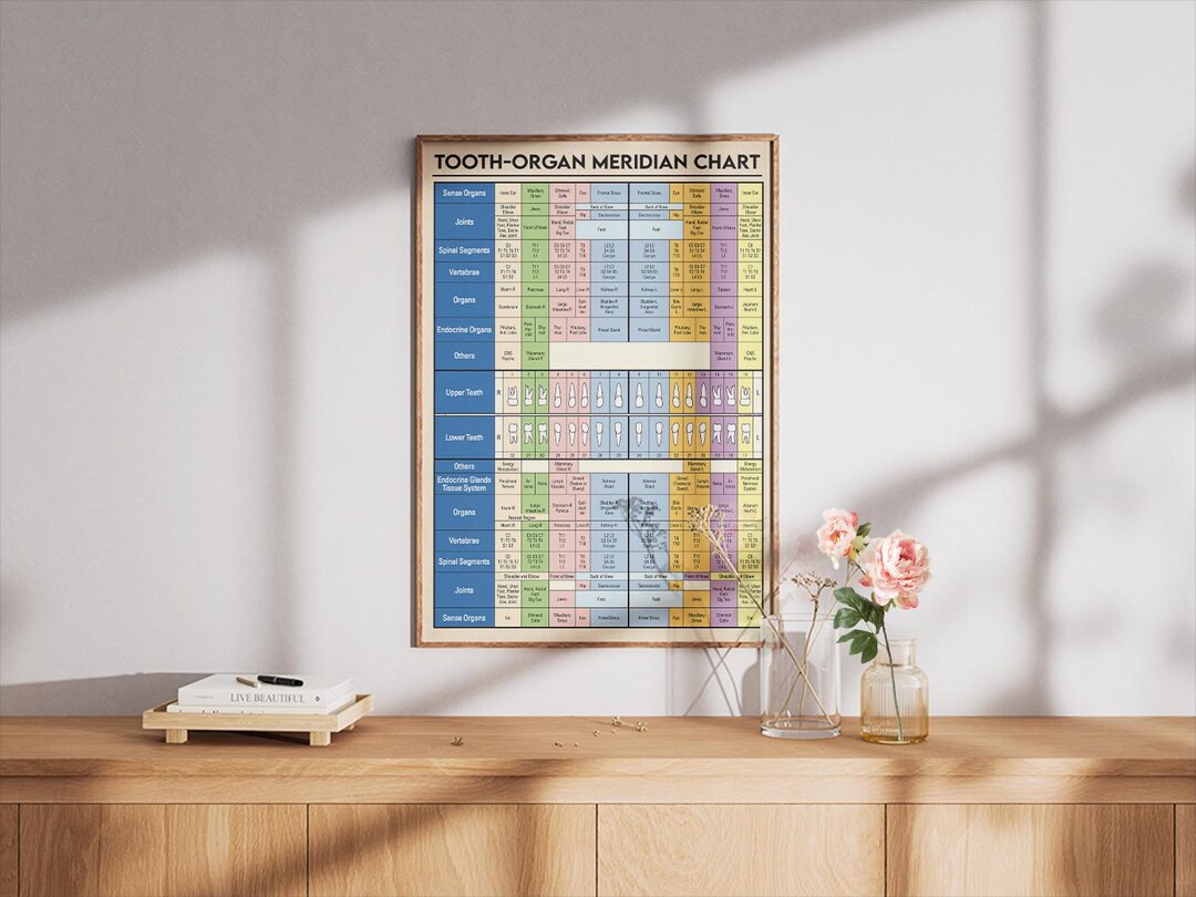 Tooth Organ Meridian Chart Poster | Holistic Dental Reflexology Chart ...