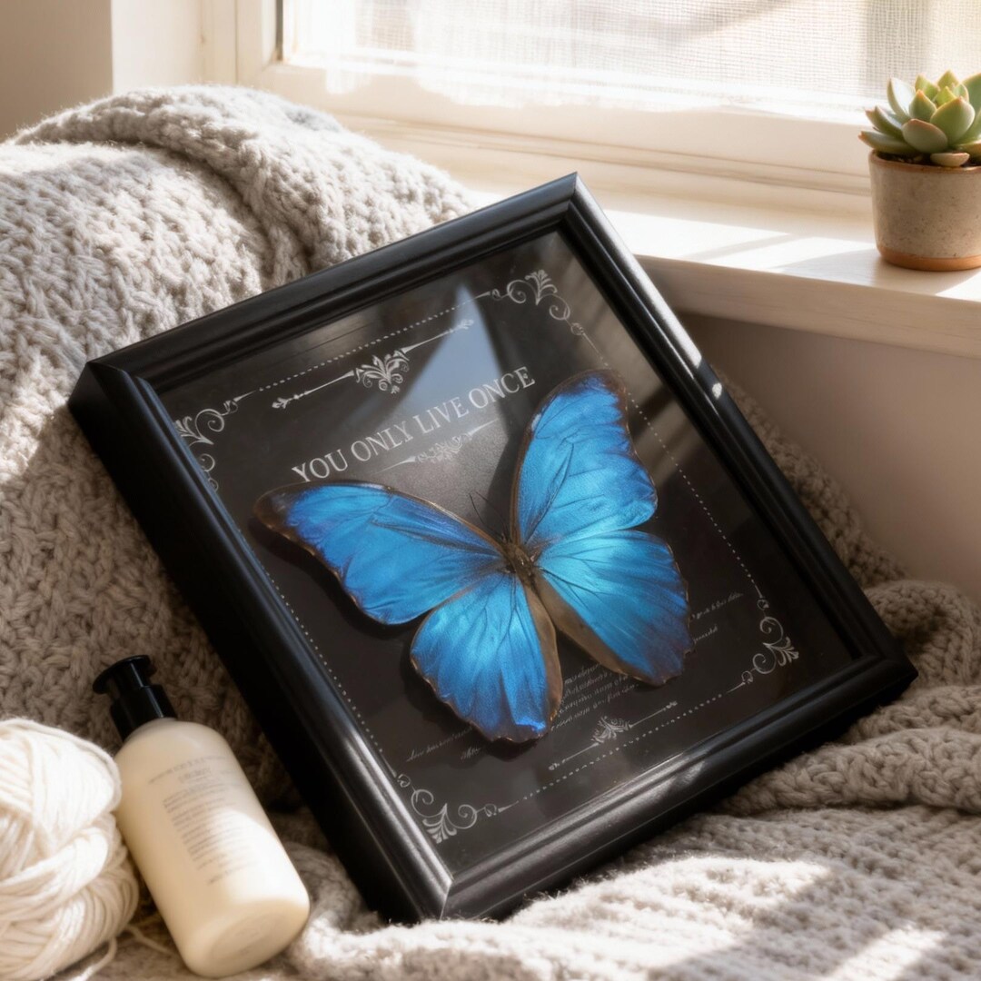 Blue Morpho Butterfly Specimen, Minor Flaws, Framed Butterfly Art ...
