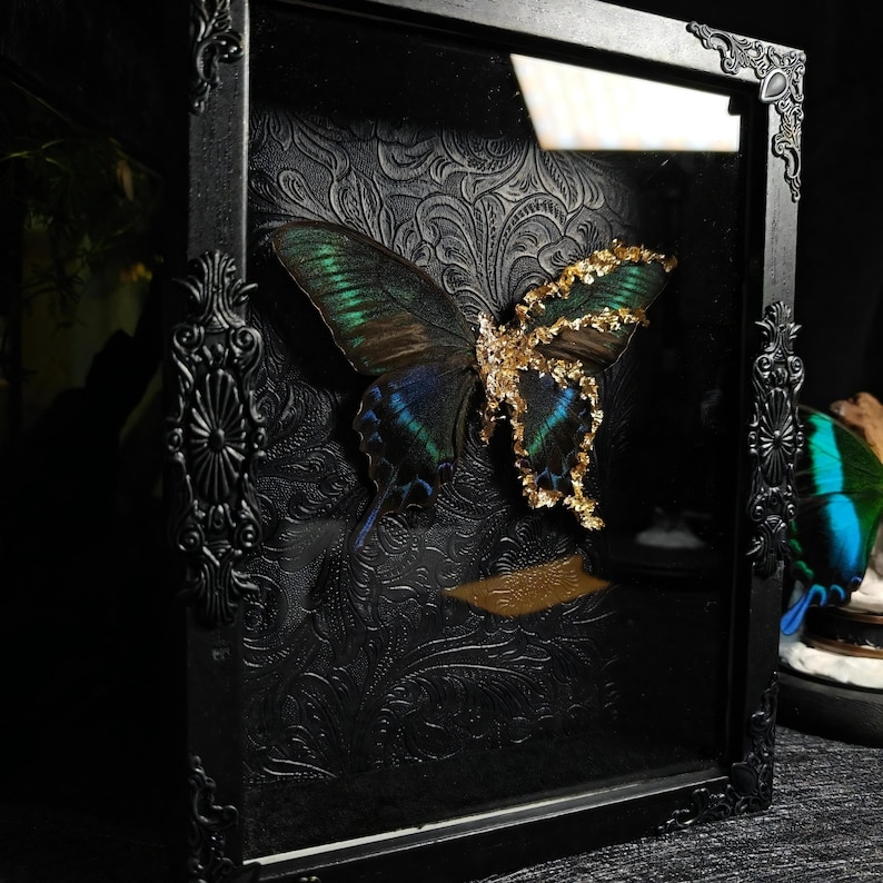 Gilded Butterfly Art, Gold Leaf Butterfly Frame, Framed Insect Wall ...