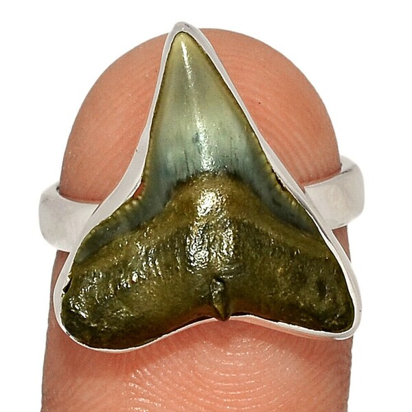 Shark Tooth Ring - Etsy