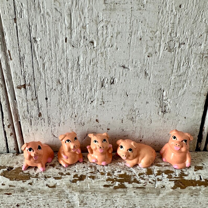 Miniature Pigs Piggies Set of Five Vintage Tiny Piglets - Etsy