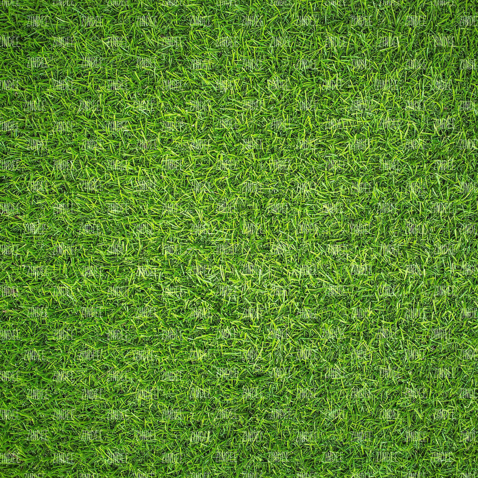 Grass Vinyl, Printed Vinyl, Adhesive Vinyl, Heat Transfer Vinyl ...