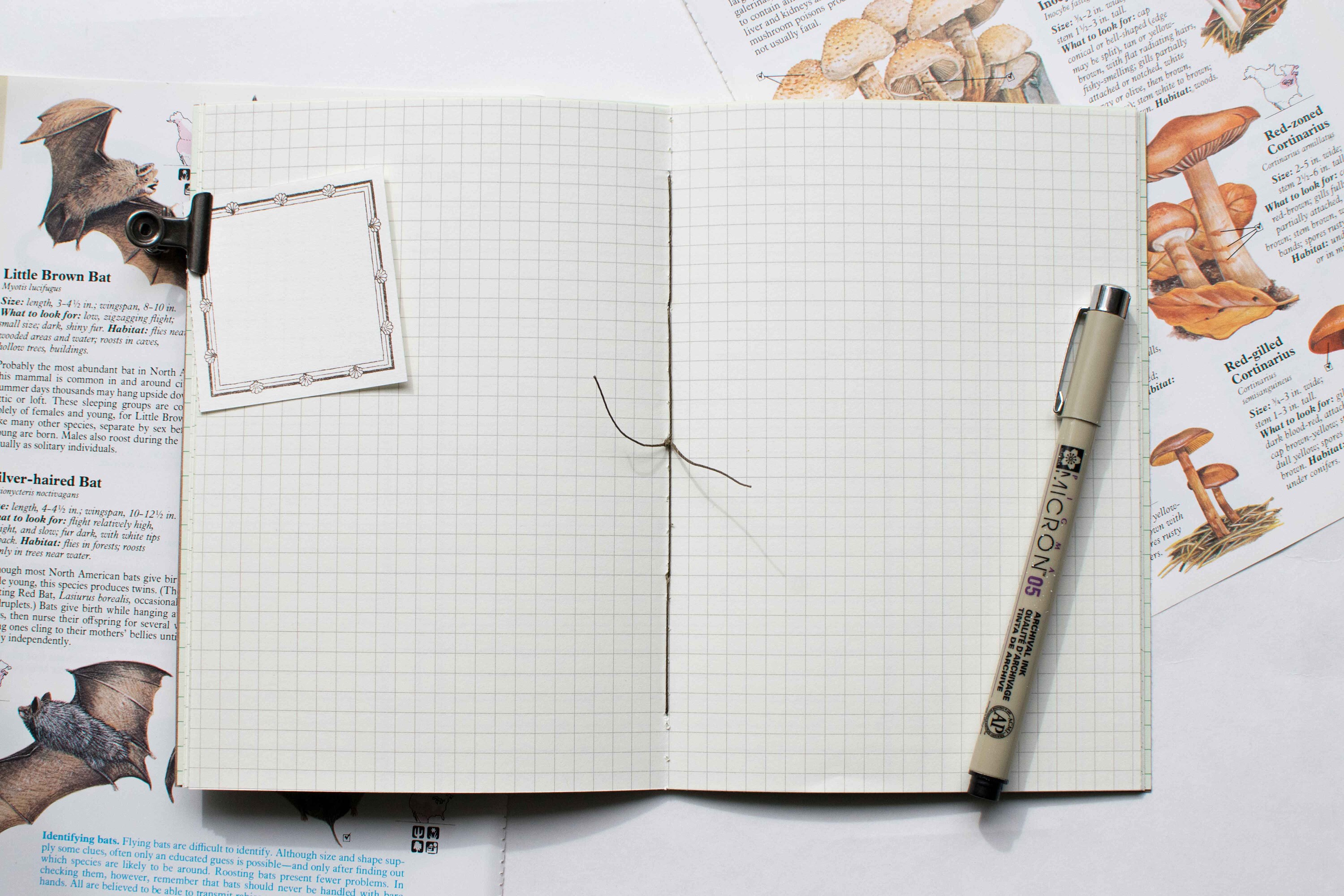 Traveler's Notebook Nature Journal Minimal Insert B6 | Etsy