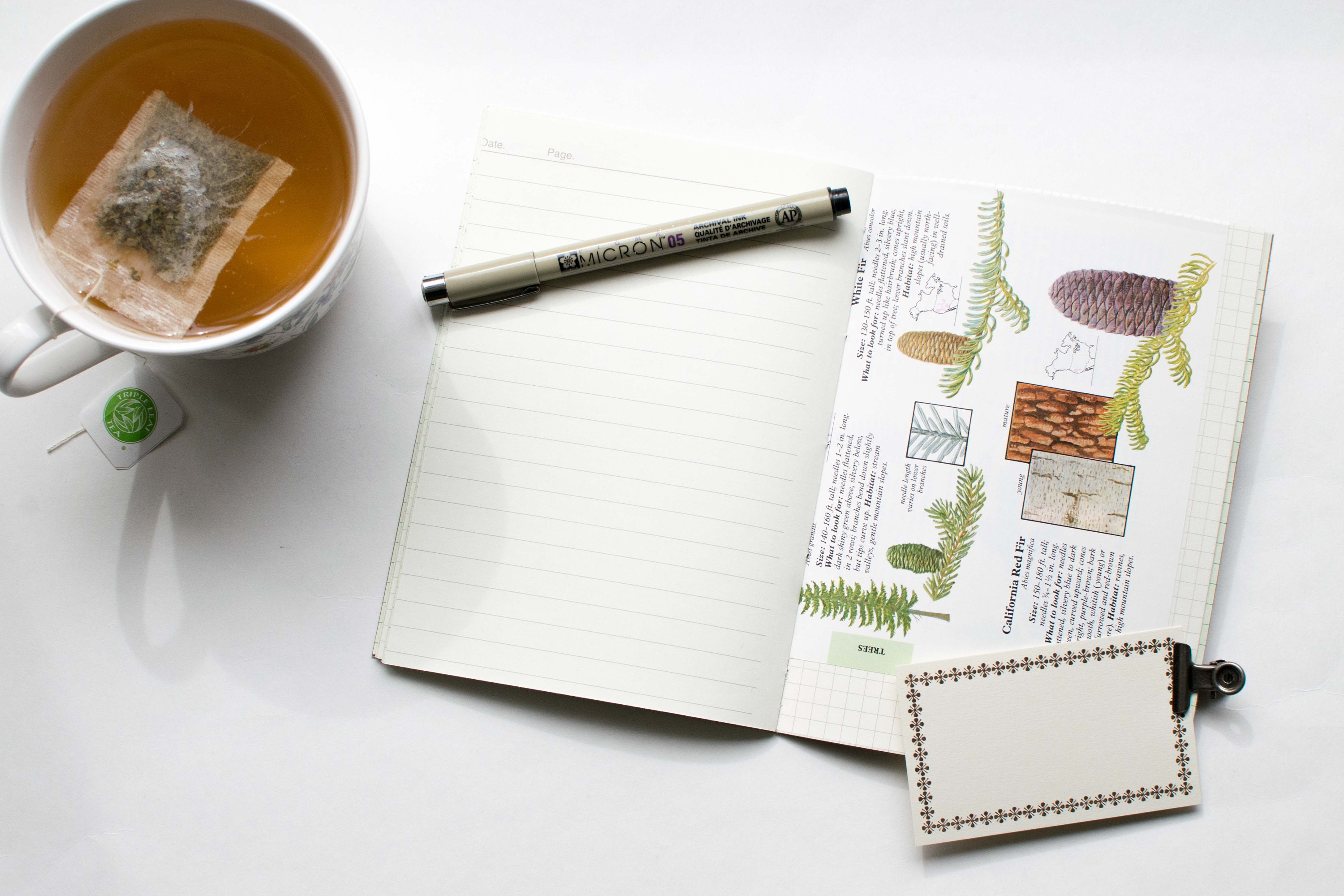 Traveler's Notebook Nature Journal Minimal Insert B6 | Etsy