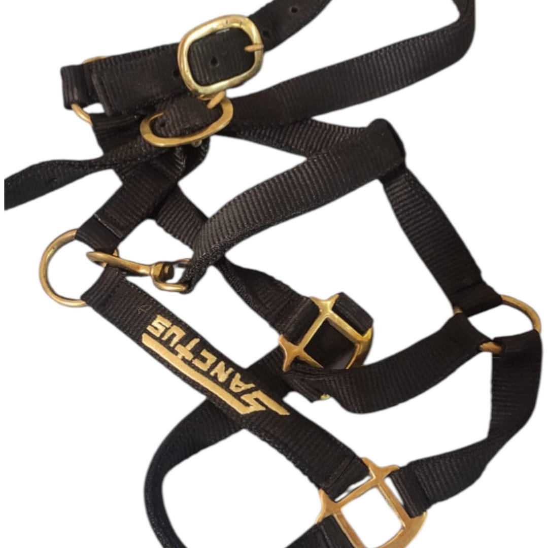 Black Nylon Horse Halter With Brass Buckles | Everyday Stable Halter - Etsy