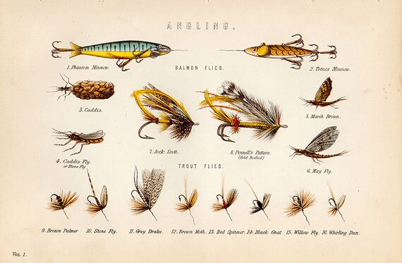 Antique Print 1890 ANGLING Chart Beautiful Wall Art Vintage | Etsy