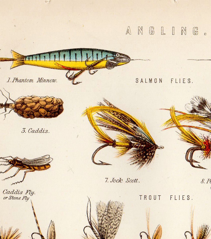 Antique Print, 1890 ANGLING Chart Beautiful Wall Art Vintage Color ...