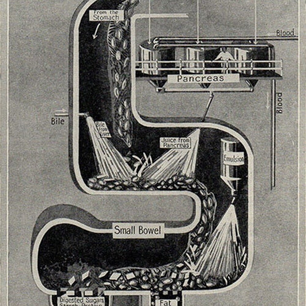 VintageInclination (Dispatched from: Australia) - Etsy Australia