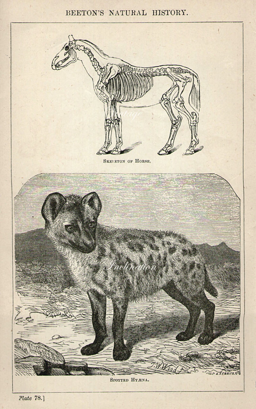 This item is unavailable - Etsy