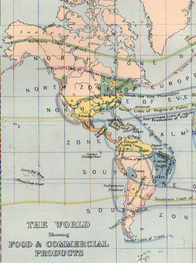 1904 Antique WORLD Map of the World 1900s Commercial and Food Regions ...