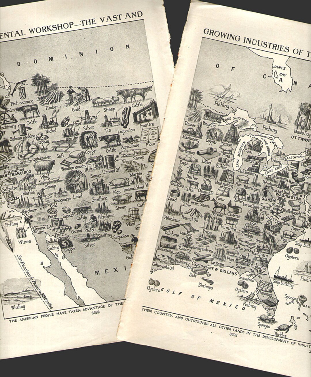 Vintage United States of America Map FOOD 1950s Original - Etsy Australia