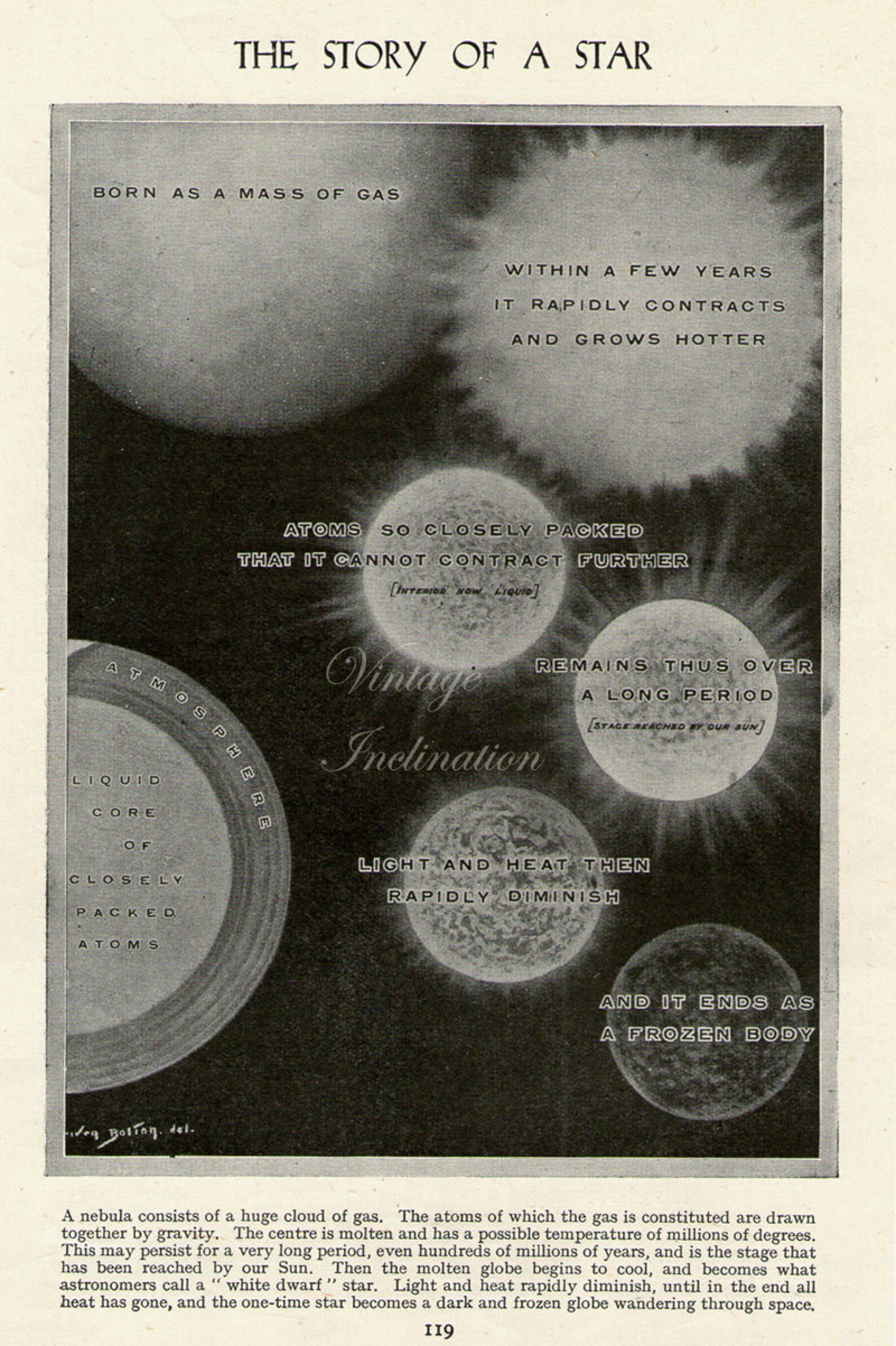 Vintage Astronomy Print the Story of a STAR Wall Chart Print - Etsy