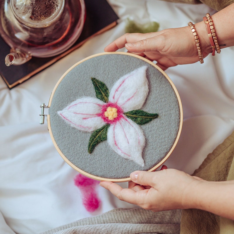 Beginner Felting Kit - Etsy