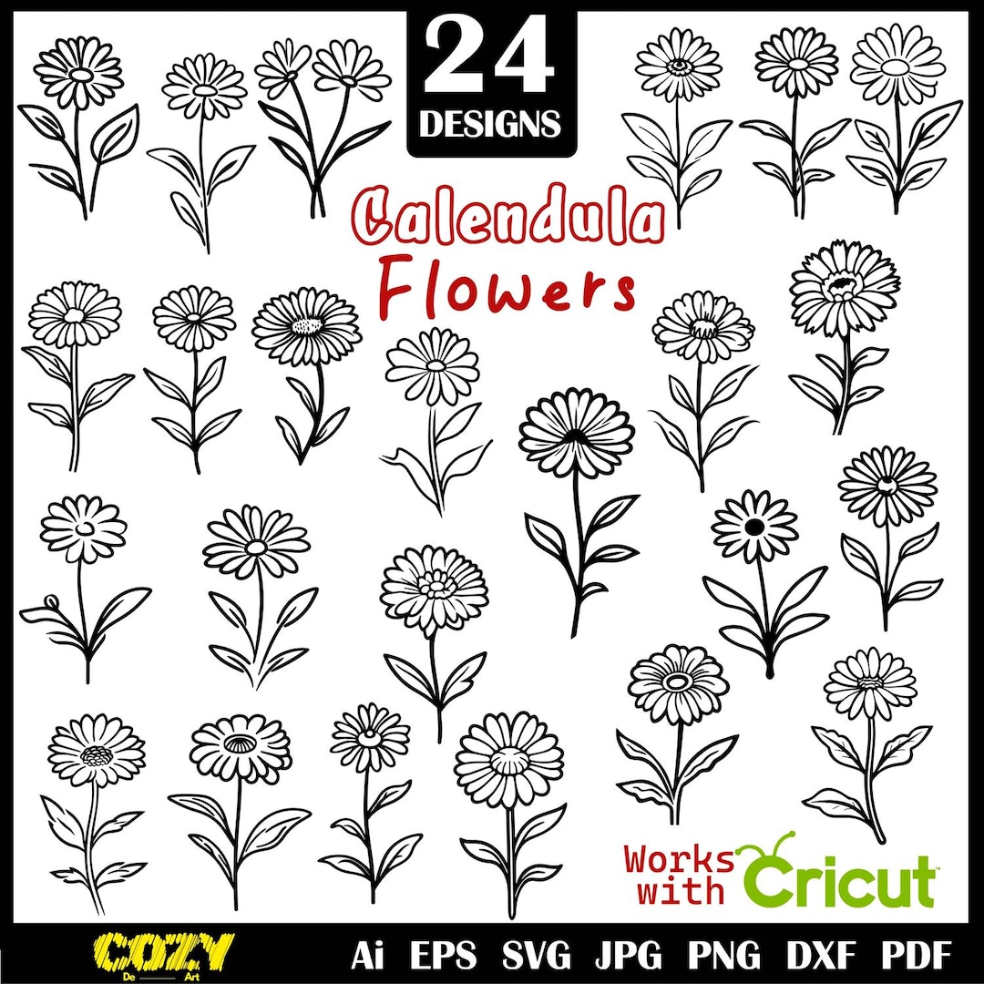 Calendula Flowers SVG, October Birth Flower SVG, Birth Month Flower ...