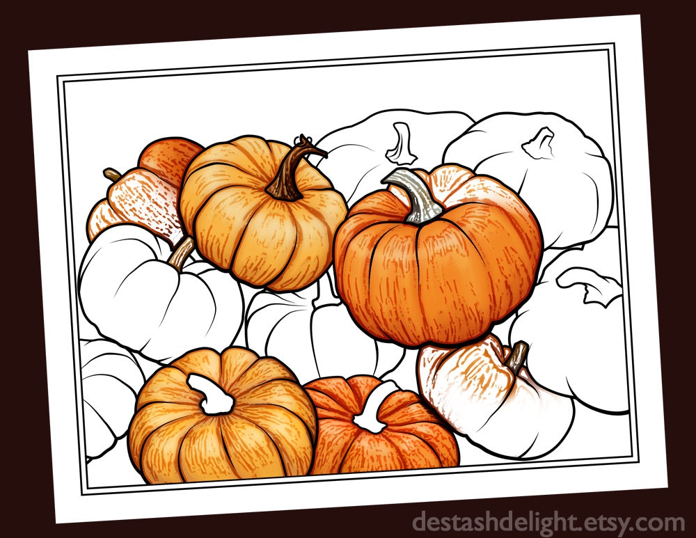 Pumpkin Patch Coloring Page: Printable Instant Download, Standard 8 ...