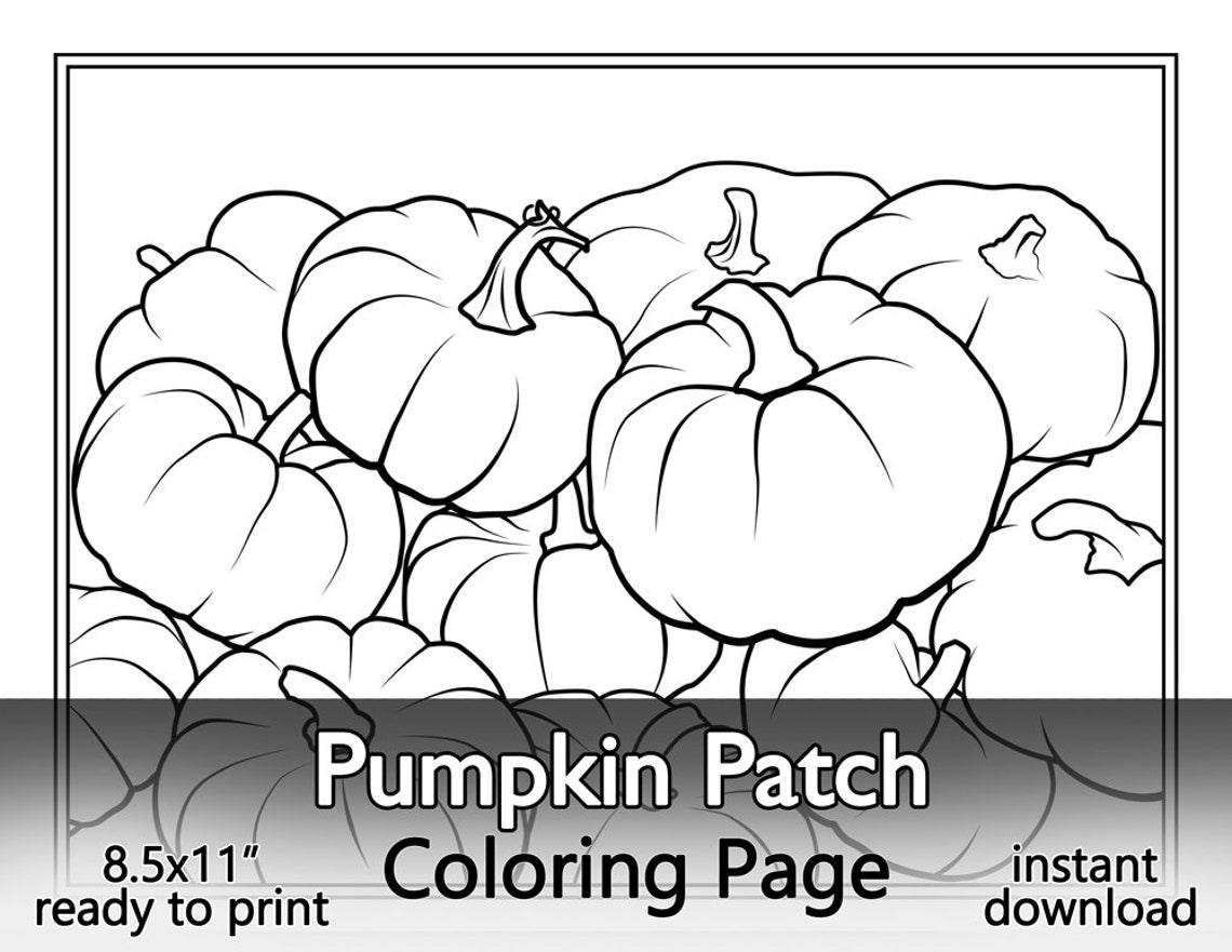 Pumpkin Patch Coloring Page: Printable Instant Download, Standard 8 ...