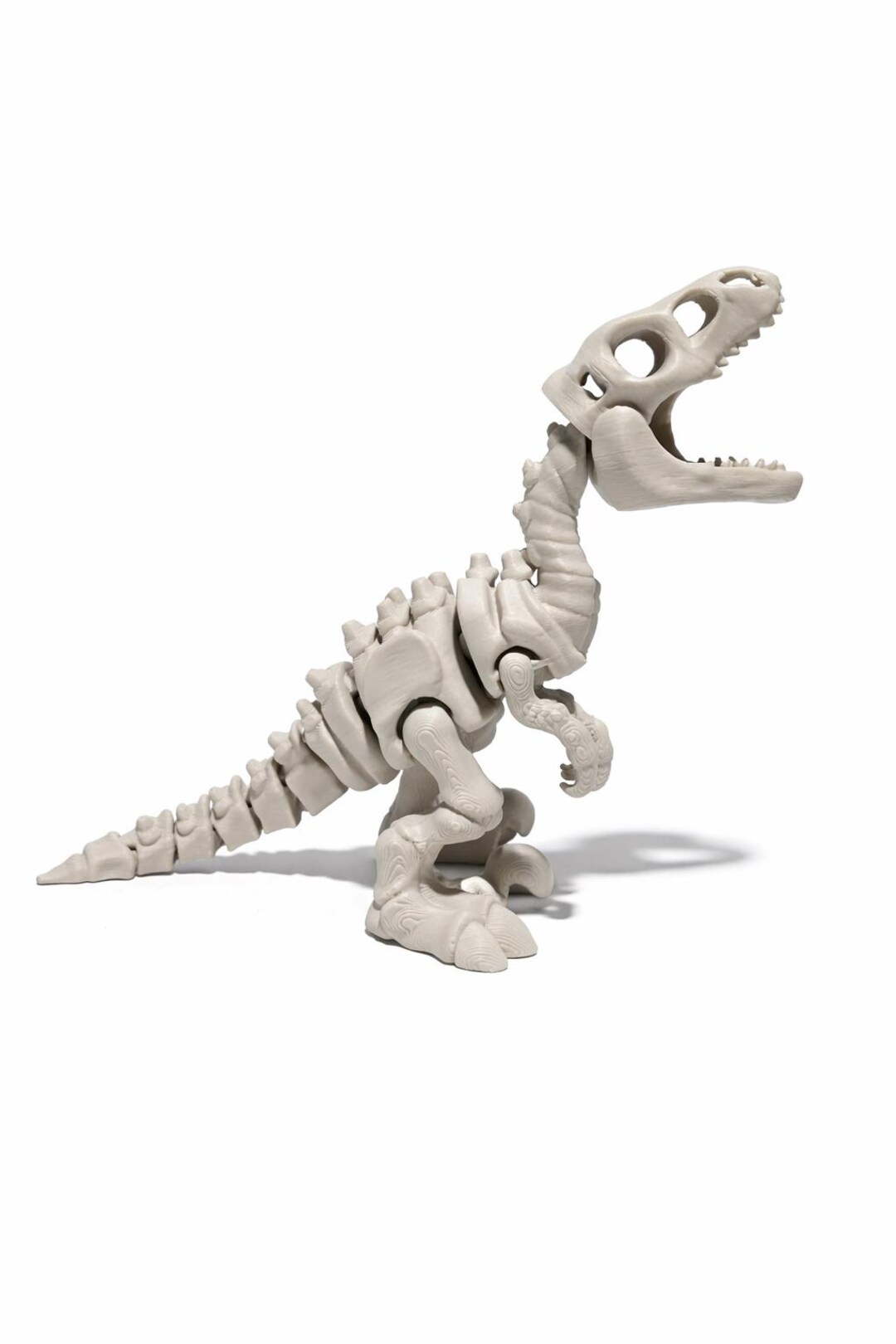 3D Printed Skeleton Velociraptor – Spooky Dino Desk Toy, Fossil ...