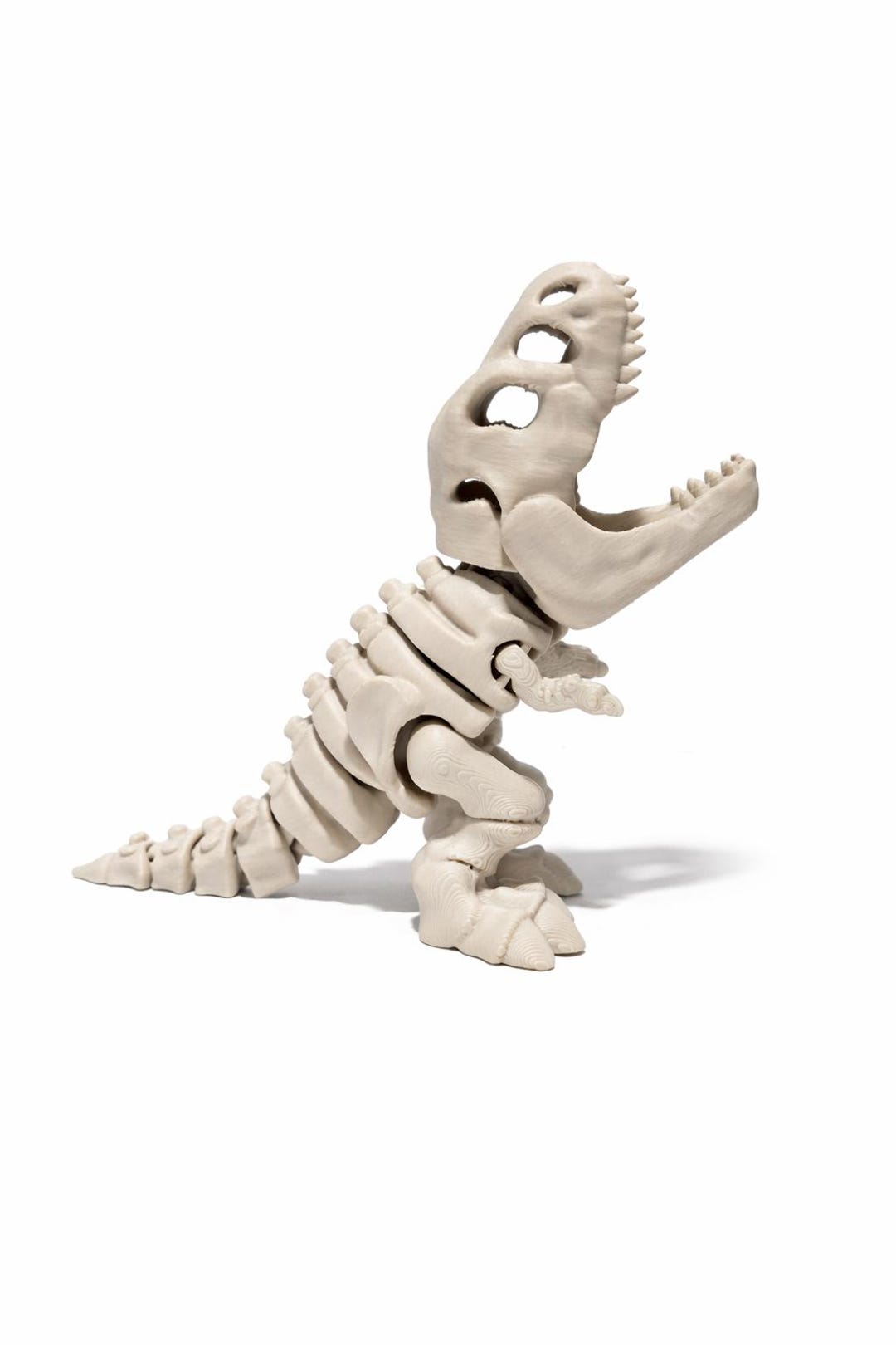 3D Printed Skeleton T-rex – Spooky Dino Desk Toy, Fossil Collectible - Etsy