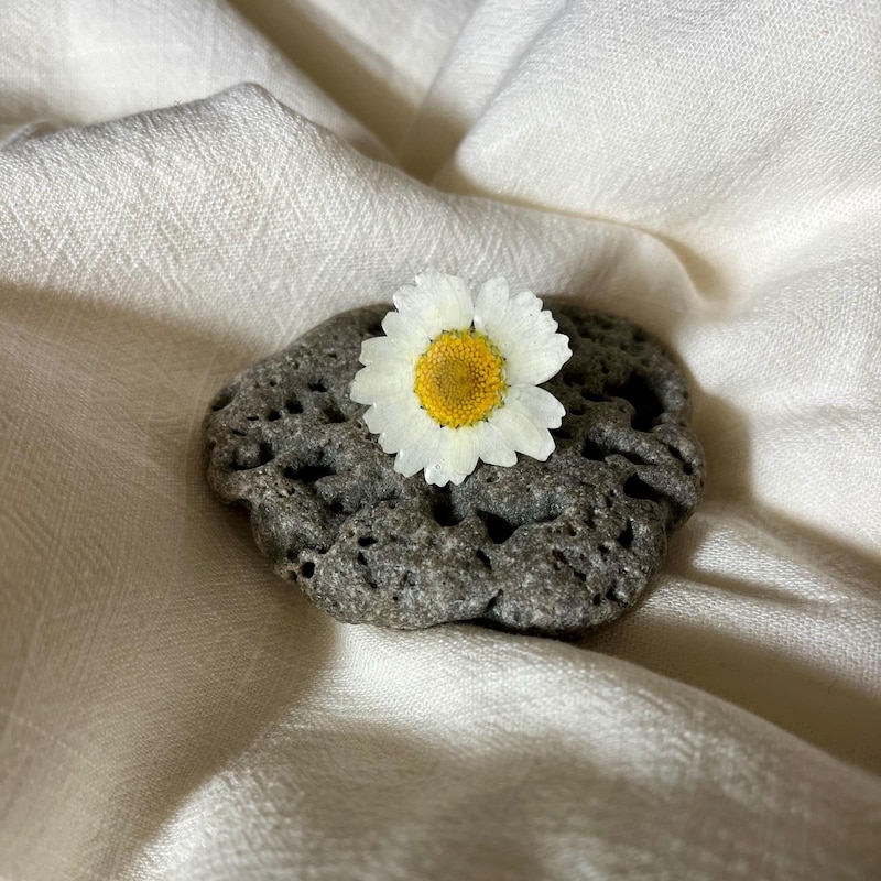 Pressed Flower Lapel Pin - Etsy