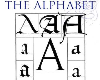 Illustrated alphabet | Etsy