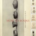 The Illustrated REED BASKETRY BOOK 12 Lessons in Reed Weaving ...