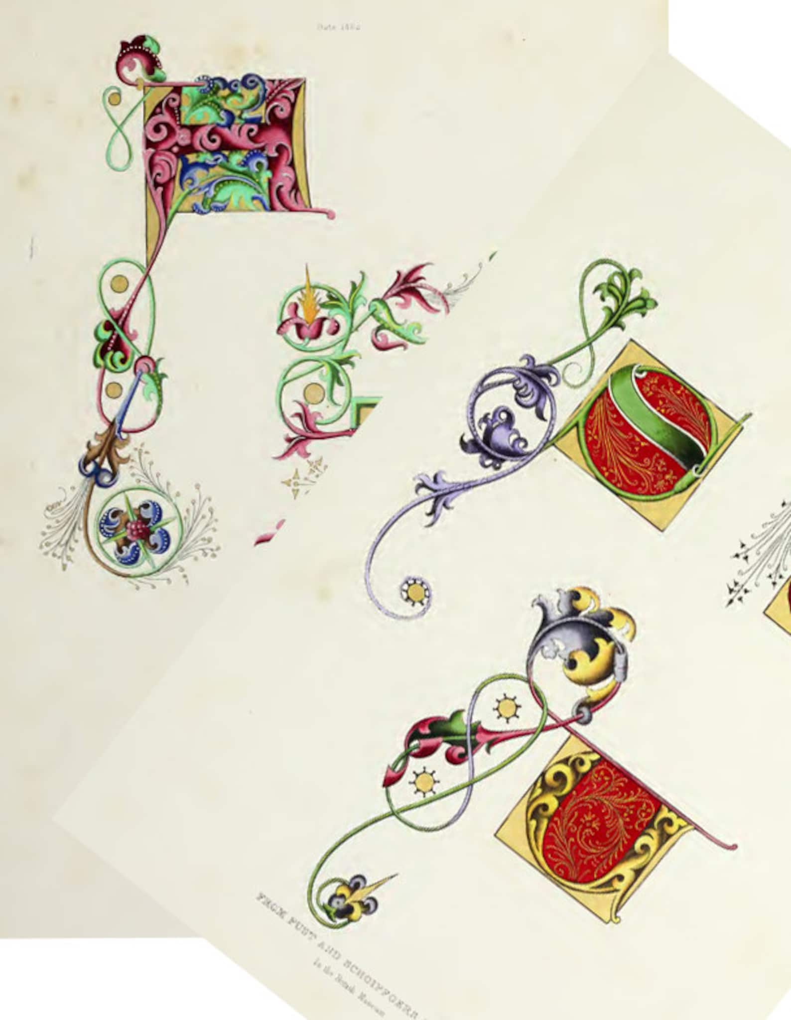 FANCY ALPHABETS of the Middle Ages RARE Illustrated Book in Color ...