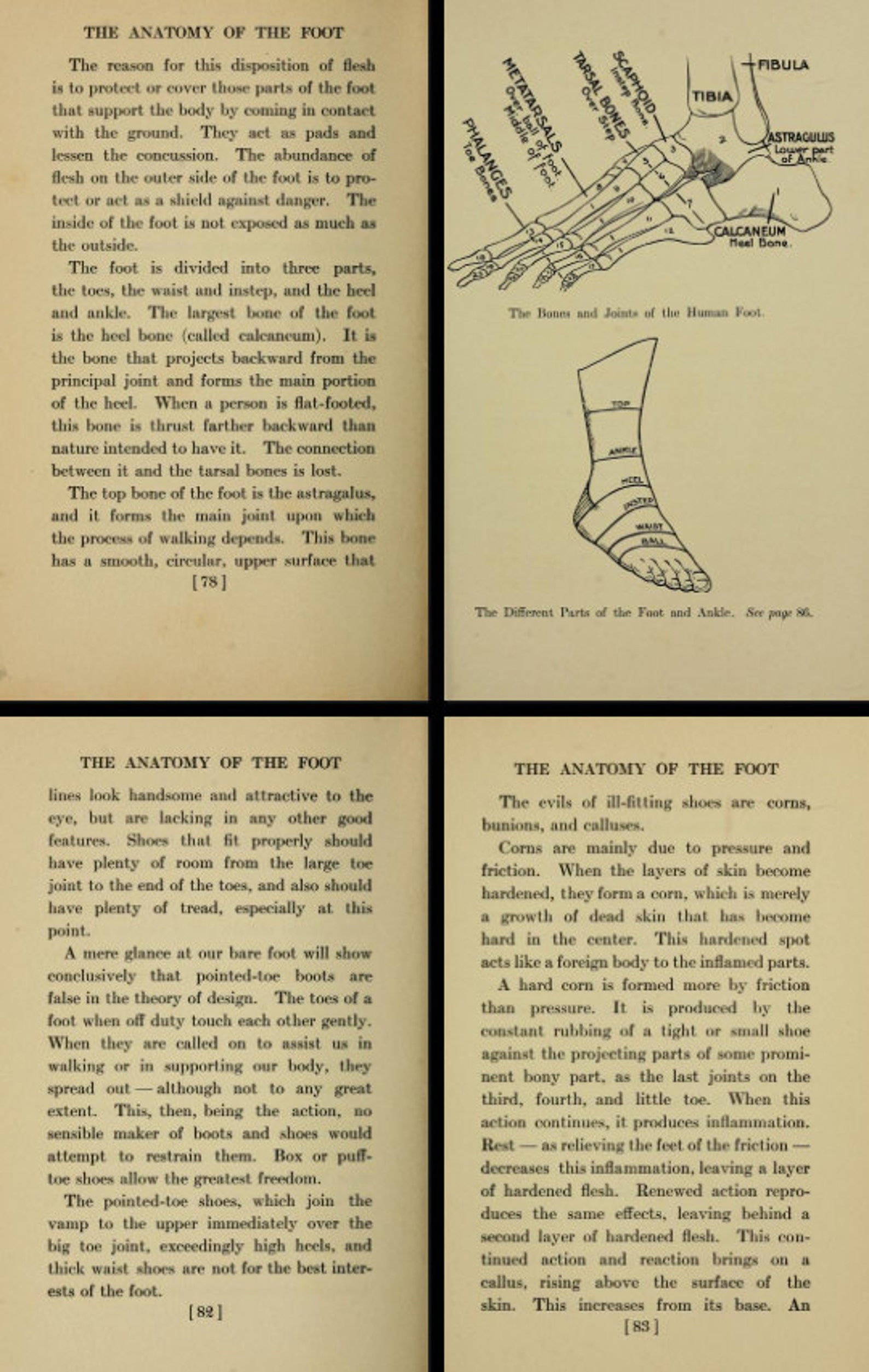A MANUAL of SHOEMAKING 326 Pages Illustrated Book on Shoe Making in ...
