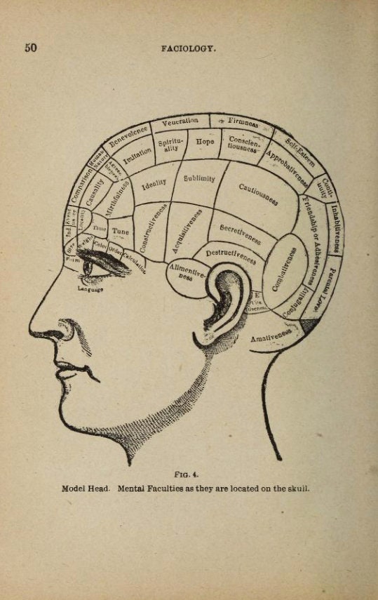 FACIOLOGIE ~ Comment lire les visages et les têtes ~ illustré ~ Le ...