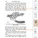 How to Weave FANCY CANE BASKETS an Illustrated Practical Manual on Cane ...