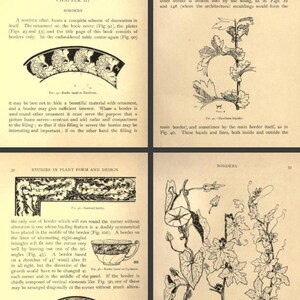 Plant Forms in ART DESIGN Rare Illustrated Book on the Use of Nature in ...