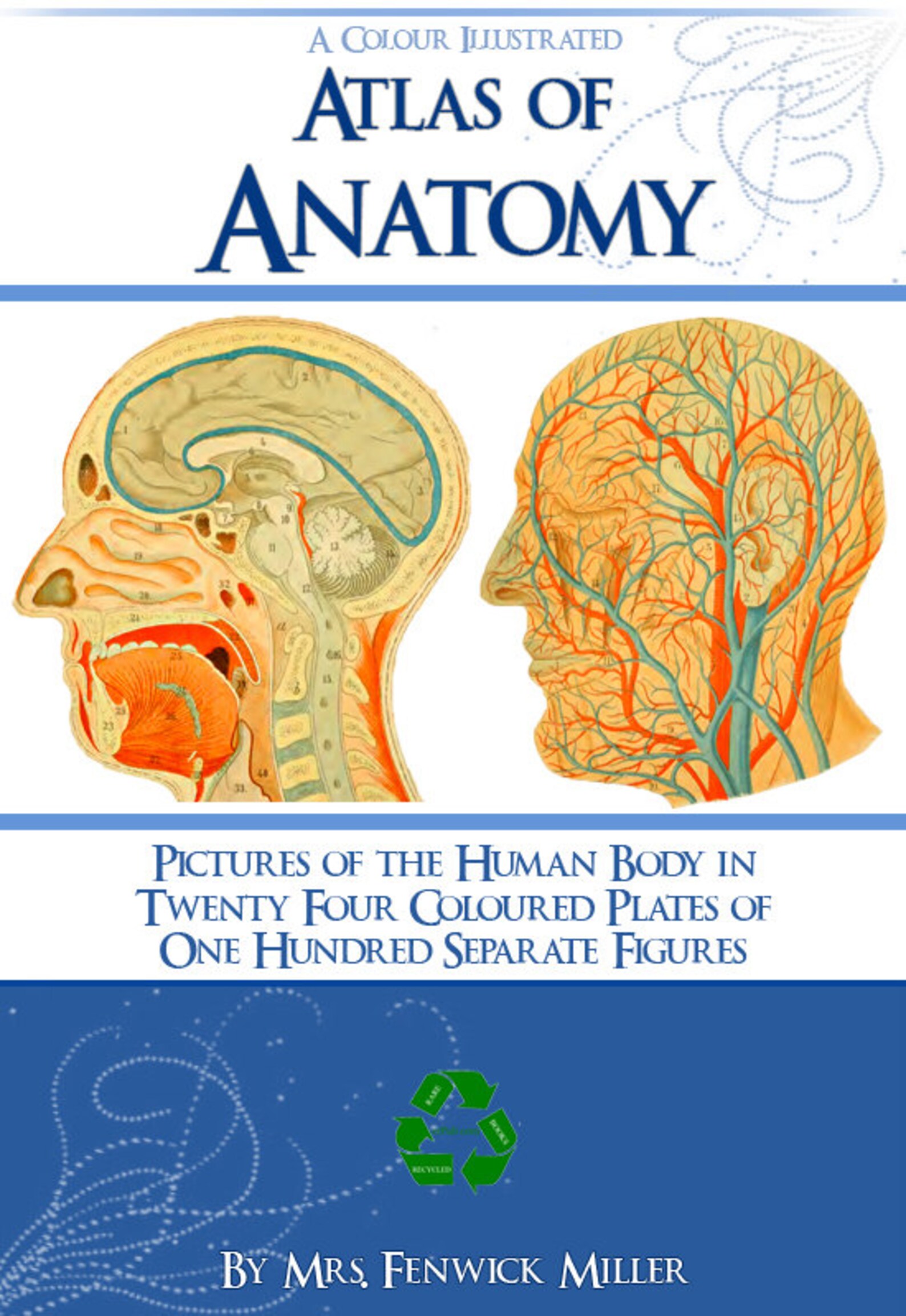 Color ATLAS of ANATOMY RARE Anatomical Book 61 Pages Printable or Read ...