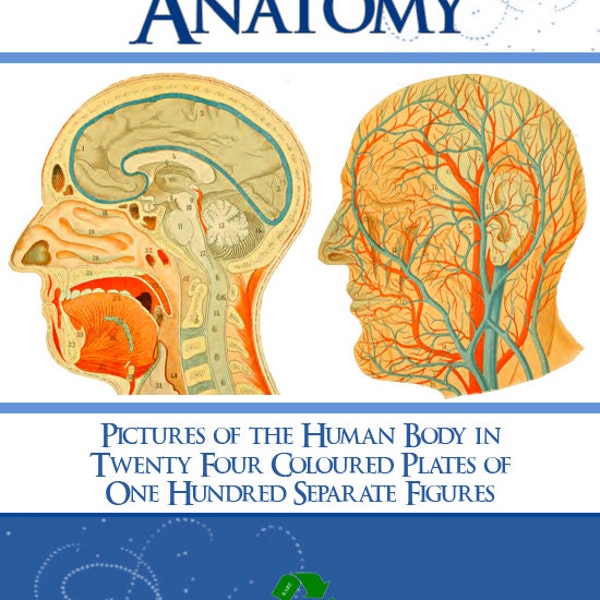 Printable Color Anatomy - Etsy