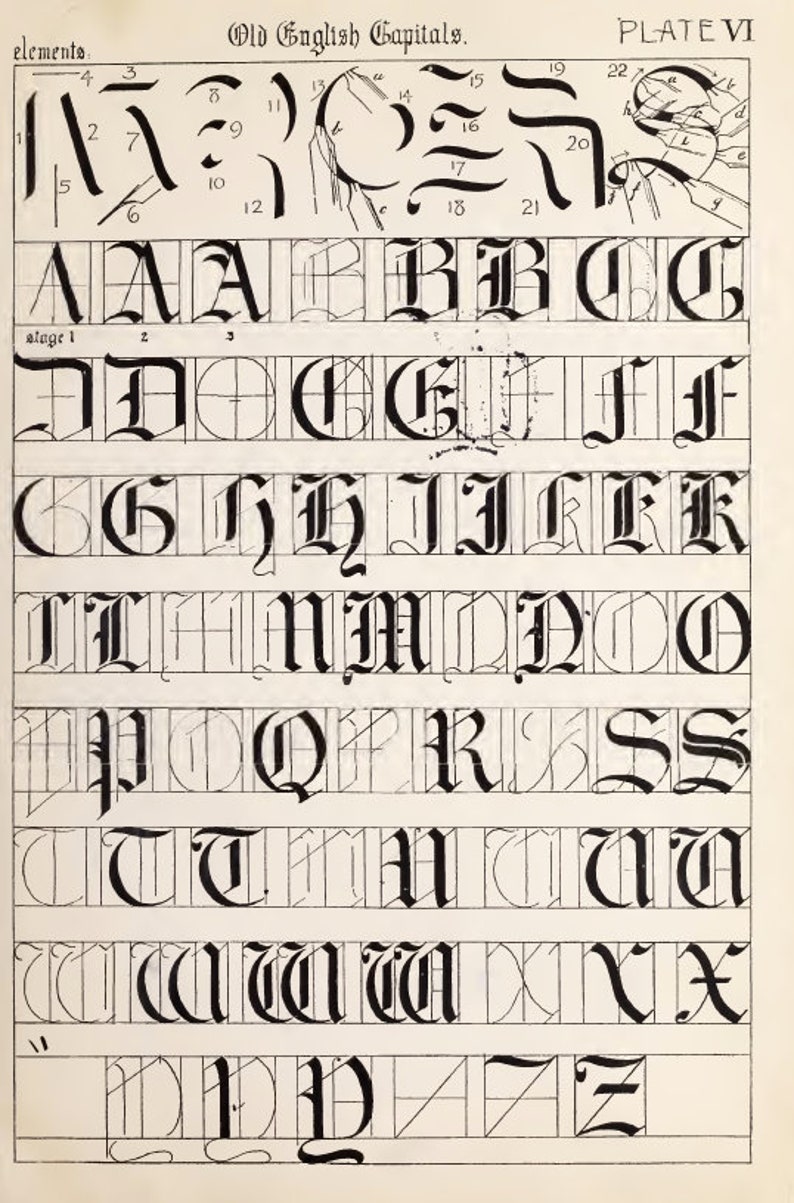 42 Complete Alphabets Rare Illustrated Lettering Reference Book for ...