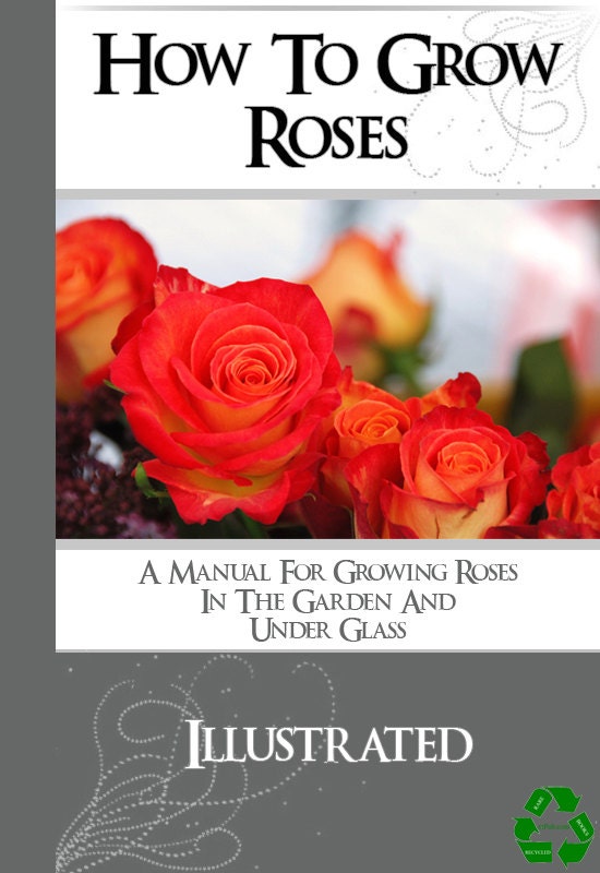 Grow the Perfect Rose With HOW to GROW ROSES Everything That - Etsy