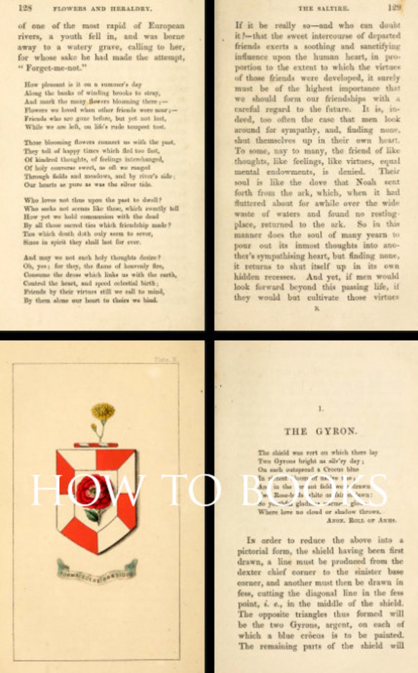 Illustrated Guide to FLOWERS in HERALDRY Rare Reference Book for ...