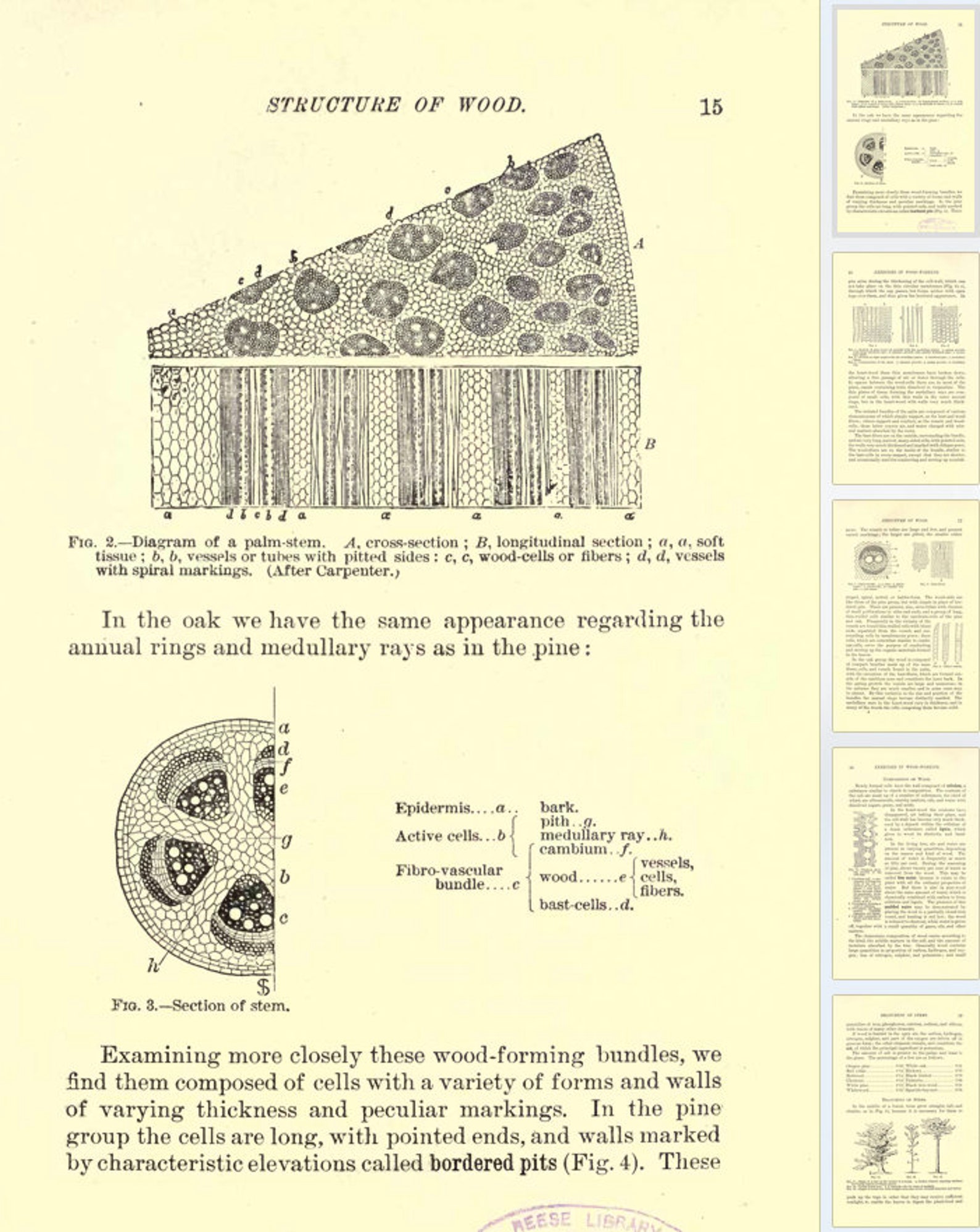 39 EXERCISES in WOODWORKING Rare Illustrated Educational Tutorial Book ...