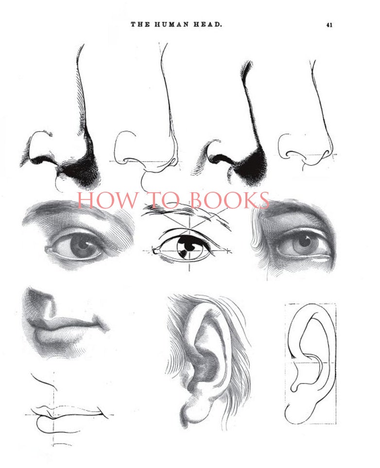 Drawing LEARN HOW to DRAW Anyone Who Can Learn to Write Can | Etsy