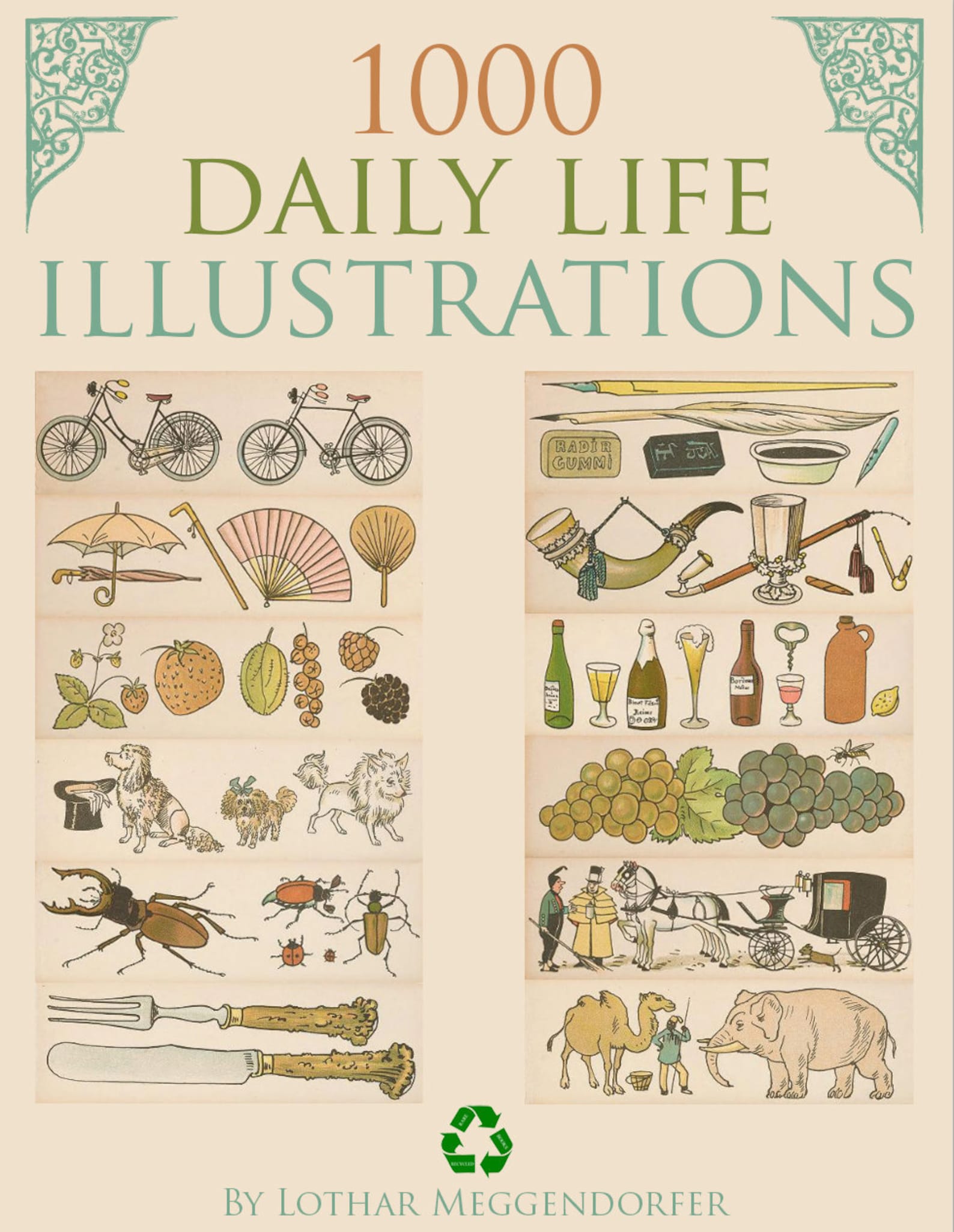 1000 Color Daily Life ILLUSTRATIONS Childrens Instructive | Etsy