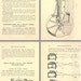 The STEAM ENGINE a Rare ILLUSTRATED Textbook on Steam Engineering 584 ...