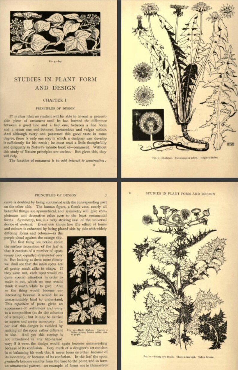 Plant Forms in ART DESIGN Rare Illustrated Book on the Use of - Etsy