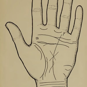 40 Lessons in PALMISTRY Fully Illustrated With 40 Full Page Palms Learn ...