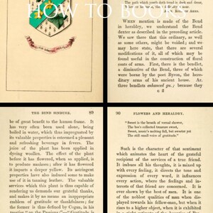 Illustrated Guide to FLOWERS in HERALDRY Rare Reference Book for ...