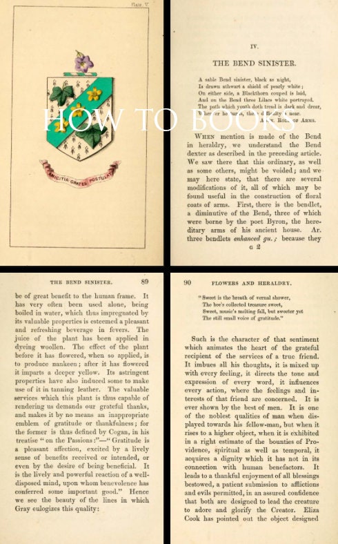 Illustrated Guide to FLOWERS in HERALDRY Rare Reference Book for ...