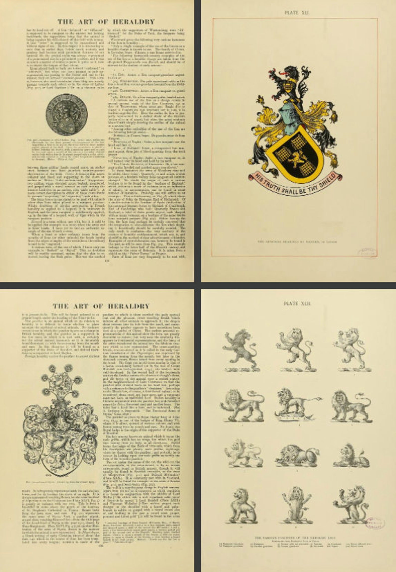 The ART of HERALDRY 2000 DESIGNS 100s in Full Color Rare Illustrated ...