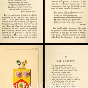 Illustrated Guide to FLOWERS in HERALDRY Rare Reference Book for ...