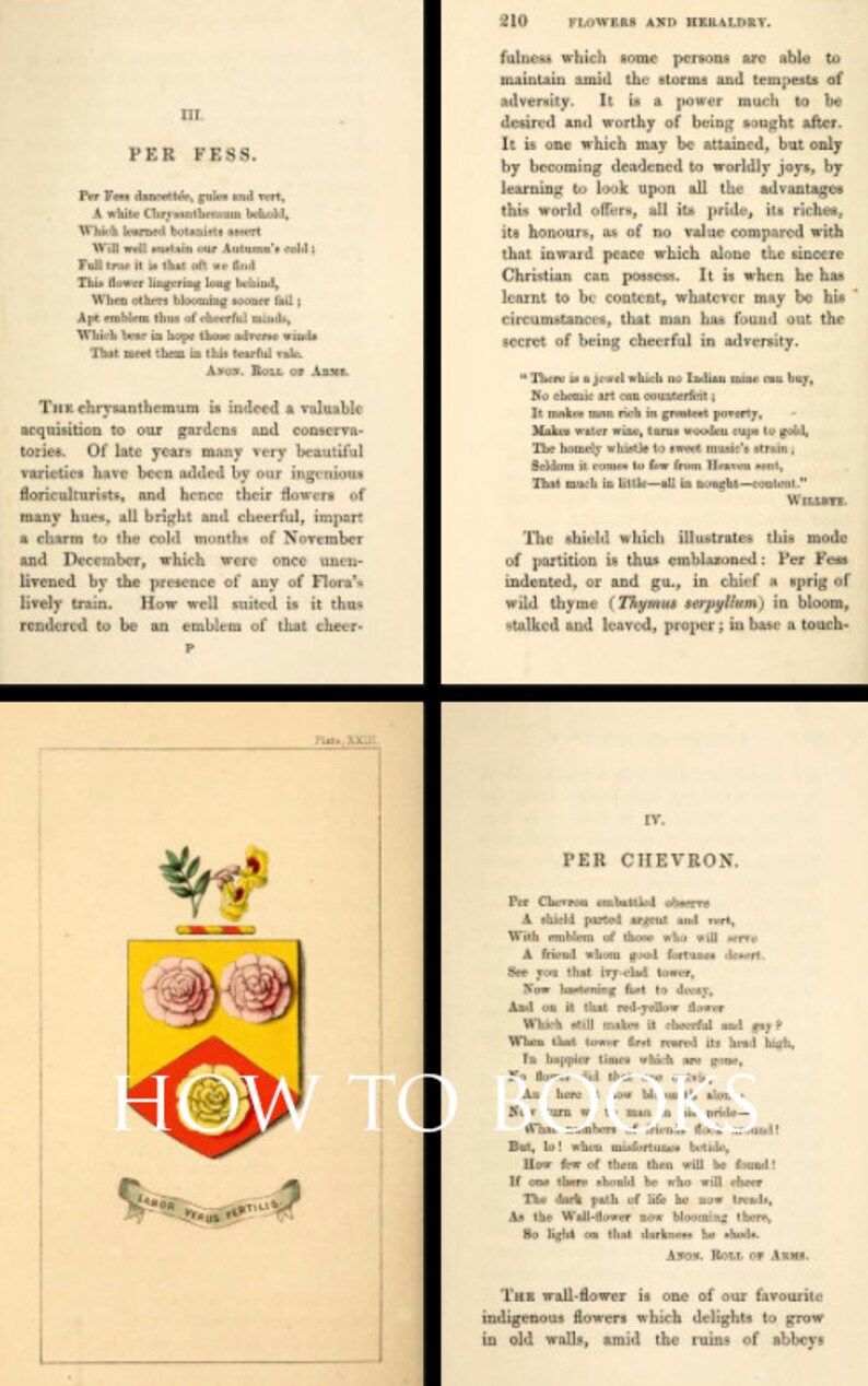 Illustrated Guide to FLOWERS in HERALDRY Rare Reference Book for ...