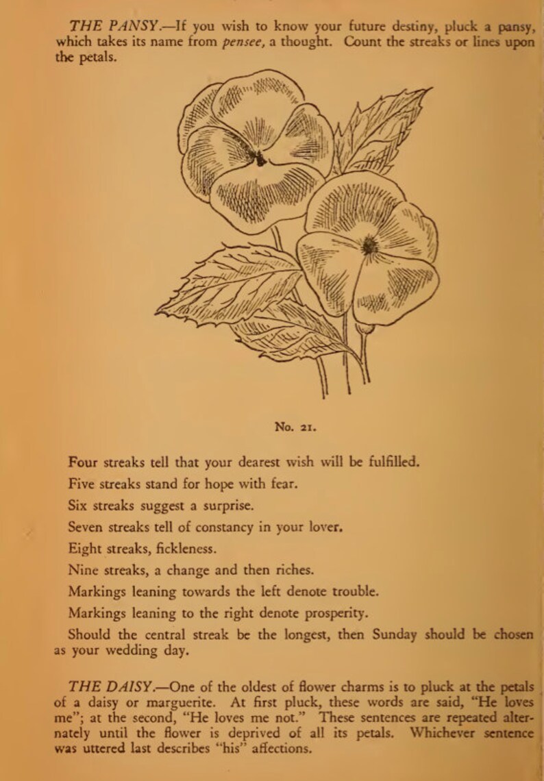 The BOOK of LUCK A Guide to Your Success Fortune Future Palmistry ...