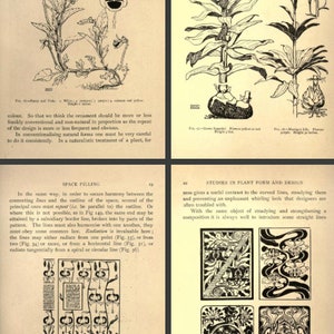 Plant Forms in ART DESIGN Rare Illustrated Book on the Use of Nature in ...
