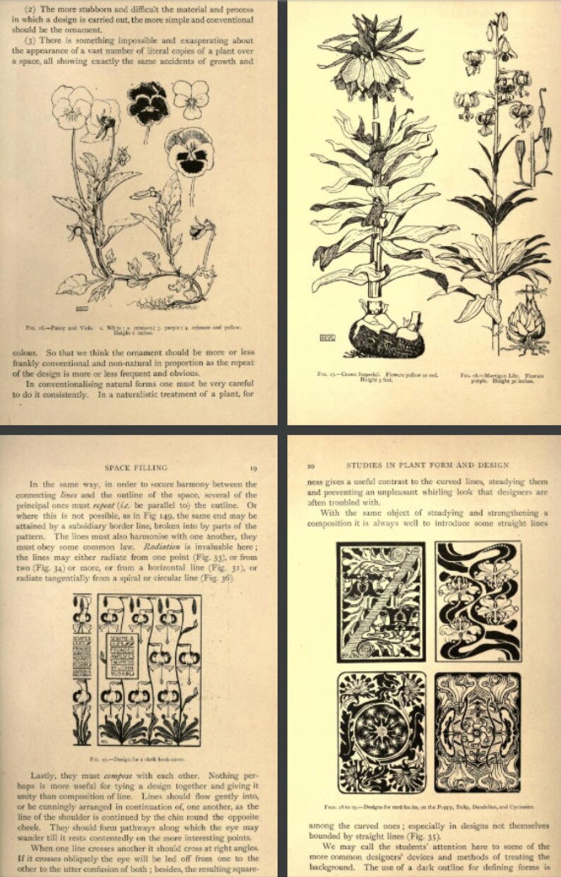 Plant Forms in ART DESIGN Rare Illustrated Book on the Use of - Etsy