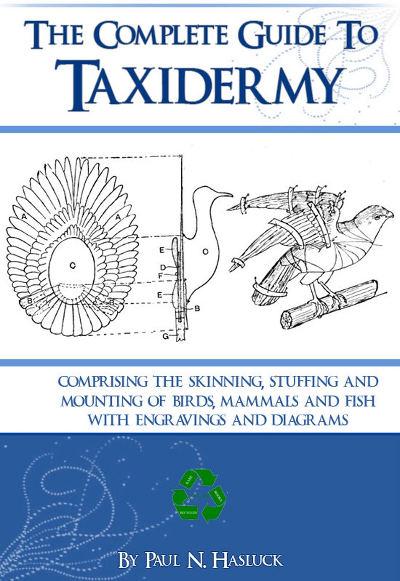 The Complete Guide to TAXIDERMY an Illustrated Handbook for the Amateur ...